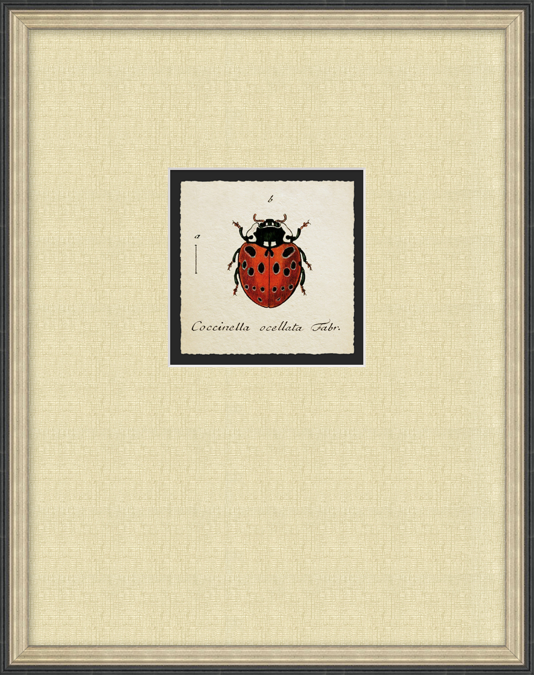 Wendover Art Group Lady Bug 1 - Picture Frame on Paper | Wayfair