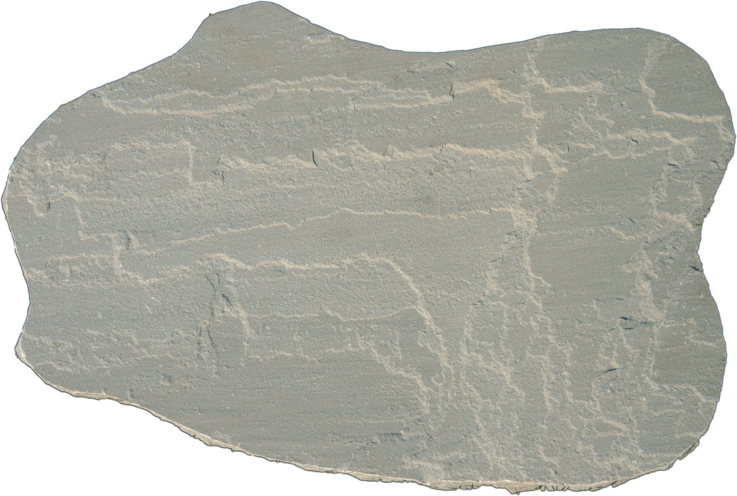 Ackland Venetian Gray Natural Sandstone Step Stone & Reviews | Wayfair