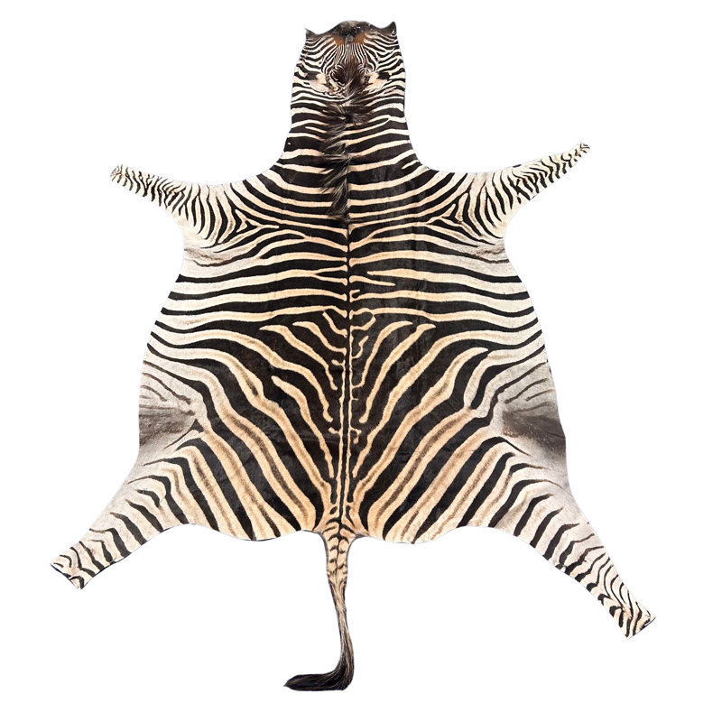 Foundry Select Real Zebra Skin Rug | Wayfair