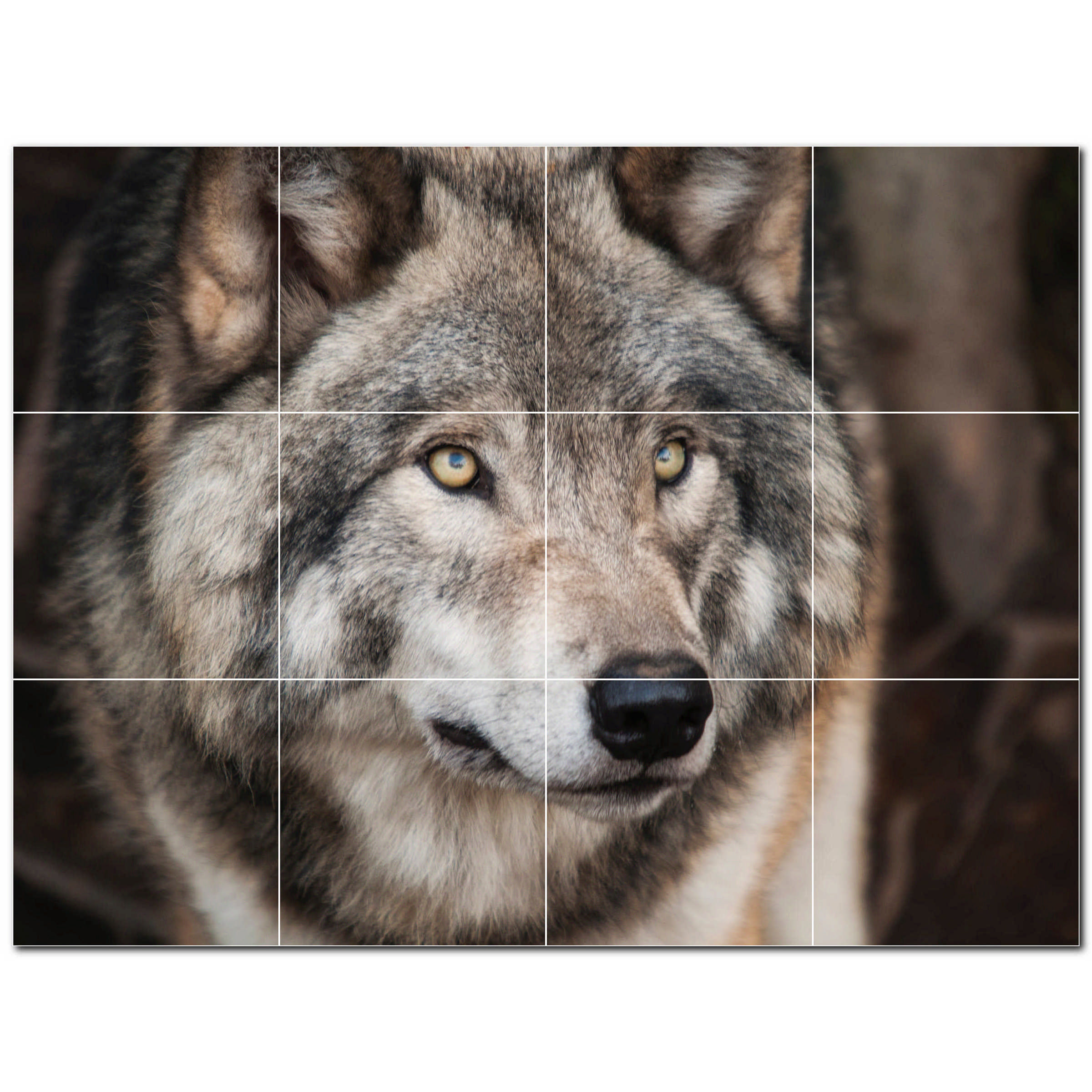 Picture-Tiles.com 48" x 36" Ceramic Wolf Photo Decorative Mural Tile ...