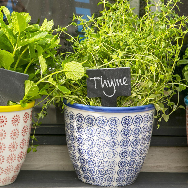 Nicola Spring - Hand-Printed Plant Pot - 14cm - Navy | Wayfair.co.uk