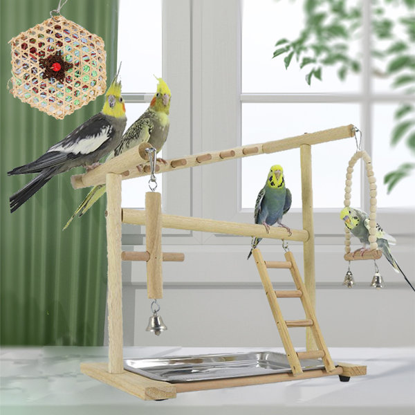 UMMA, LLC Bird Play Gym With 1 Pcs Colourful Toy - Wayfair Canada