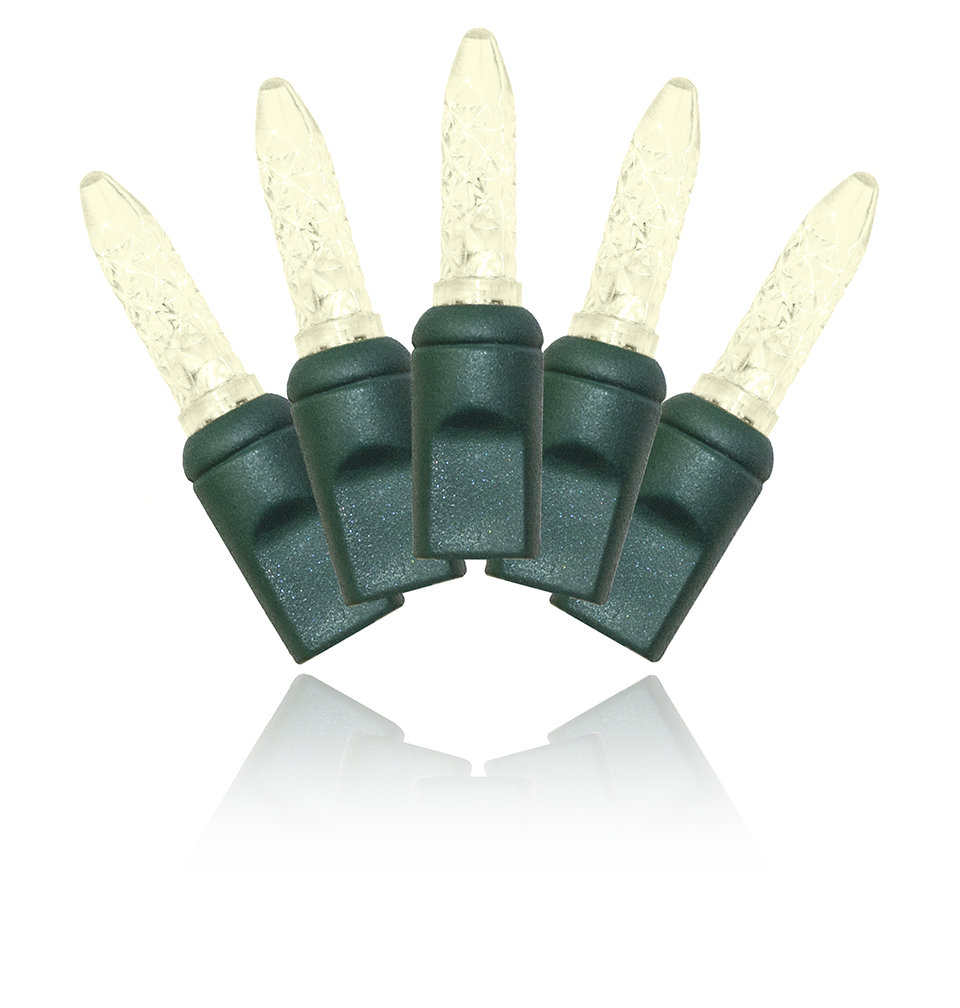 The Holiday Aisle® Jussica Outdoor 50 - Bulb 300'' LED String Light ...