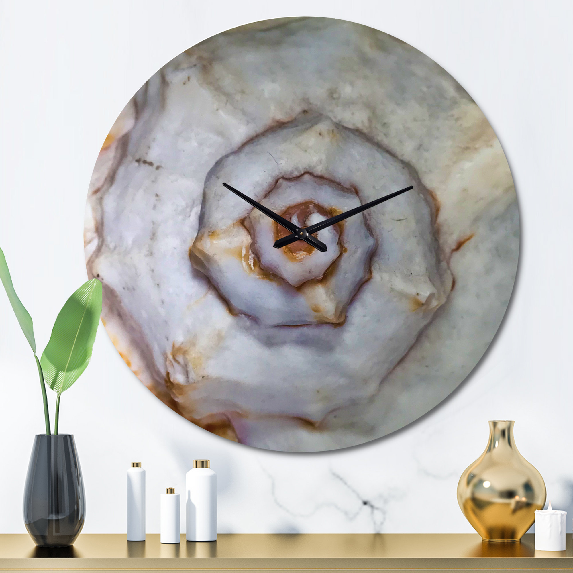 The Twillery Co.® Suazo Great Skeleton of Sea Shell Wall Clock ...