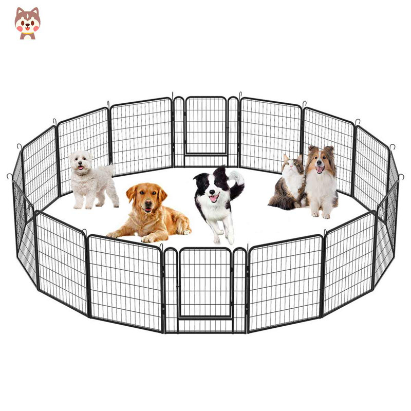 specool 16-Panels Folding Exercise Dog Pen & Reviews | Wayfair