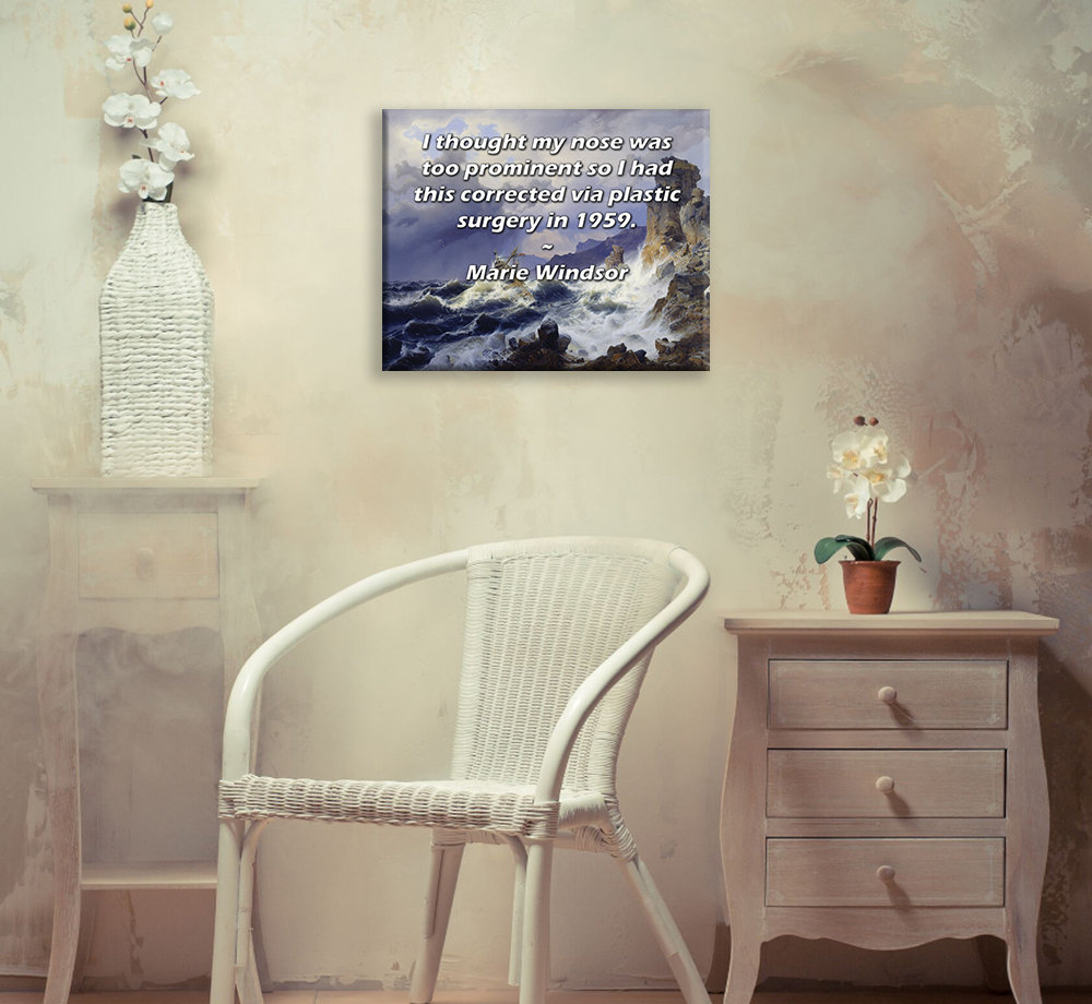 plastic surgery windsor