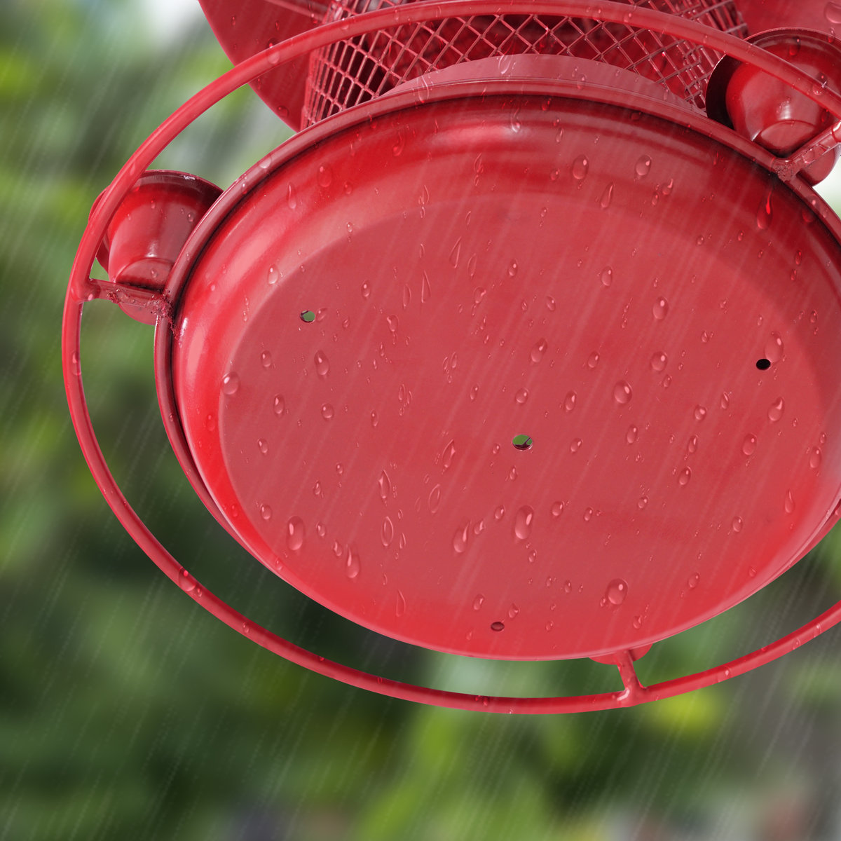 Arlmont & Co. Rithish Metal Hanging Hopper Bird Feeder & Reviews | Wayfair