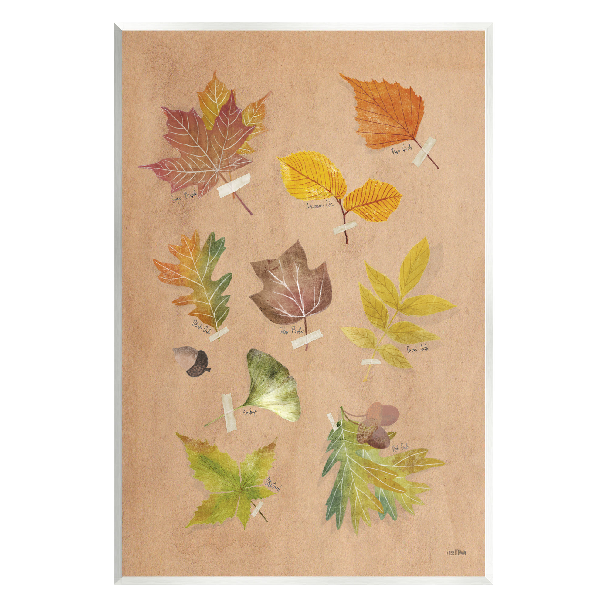 Stupell Industries Ax-131-Wood Woodland Leaf Studies On MDF by House ...