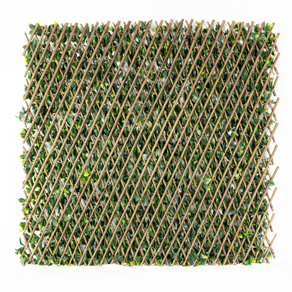 Primrue Parkridge Single Side Expandable Faux Artificial Hedge Gardenia ...
