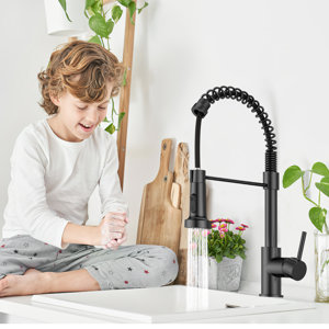 Blue Elephant Pull Down Spray Single Lever Kitchen Tap & Reviews ...