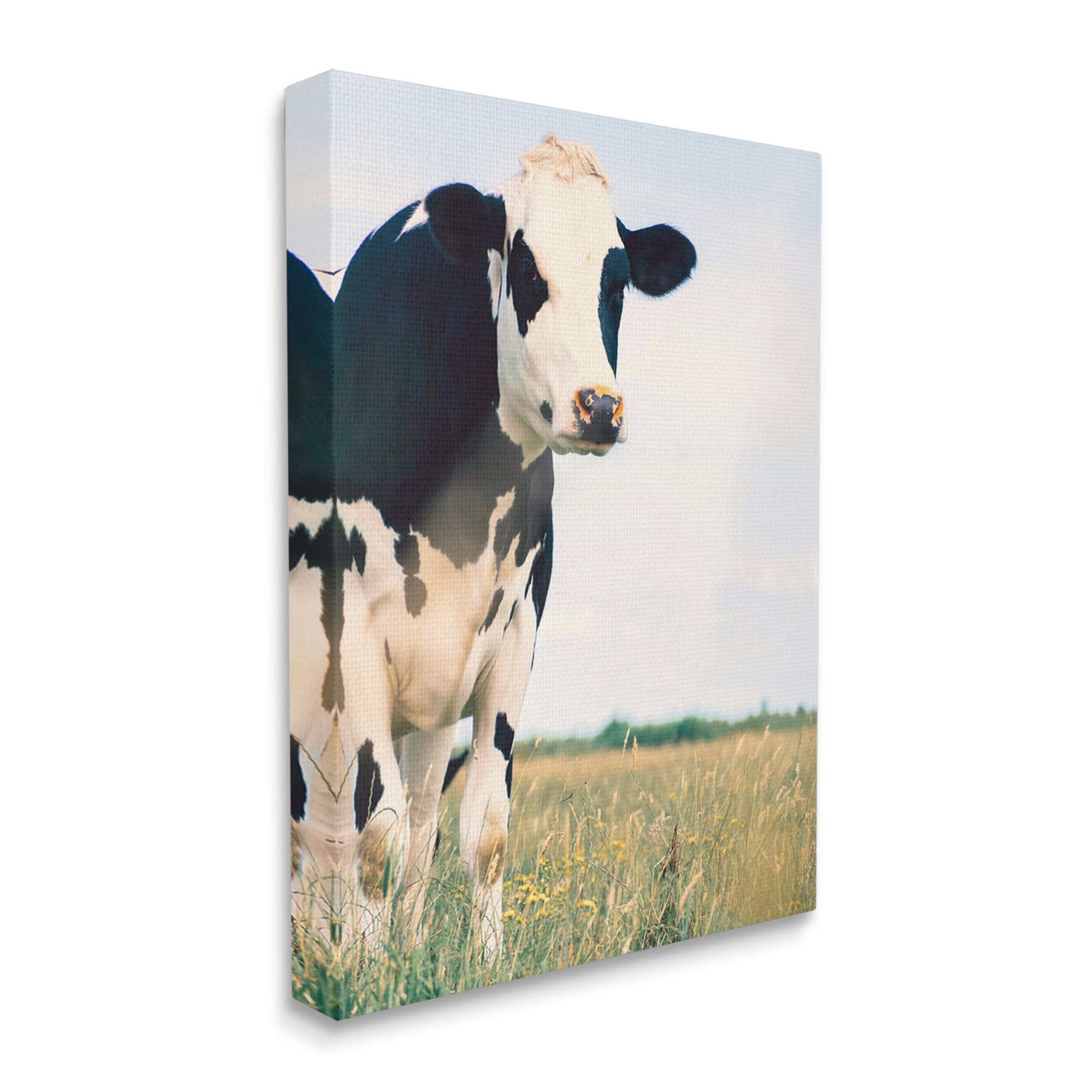 Stupell Industries Au-901-Canvas Country Farm Cow On Canvas by Krista ...