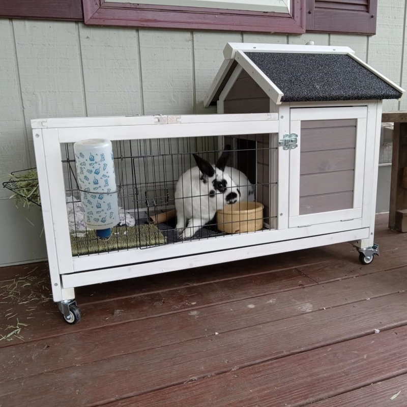 Tucker Murphy Pet™ Gerno Weather Resistant Rabbit Hutch | Wayfair