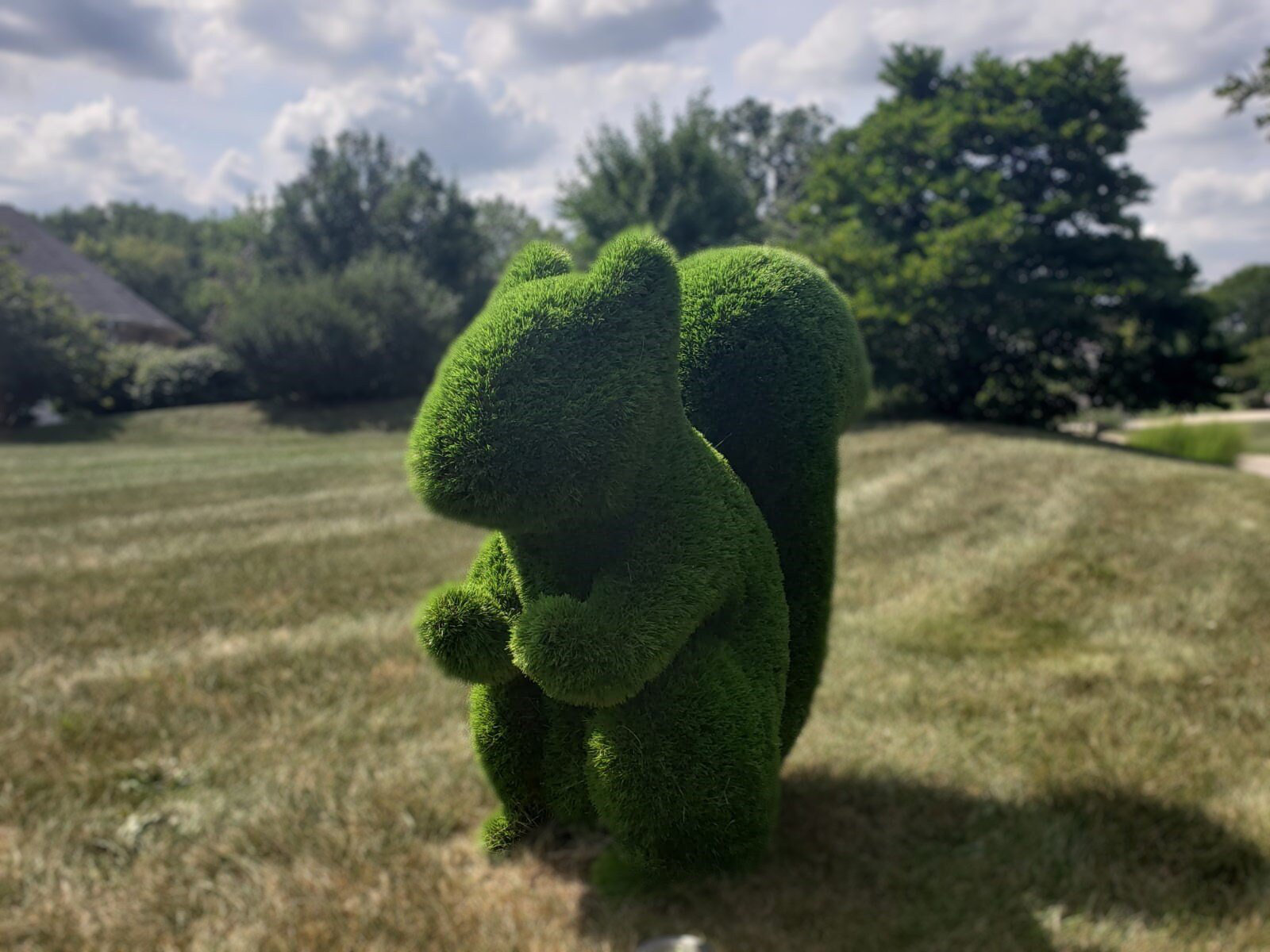 Loon Peak® Outdoor Animal Squirrel Topiary Green Figures | Wayfair
