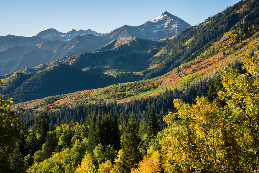 The Finishing Touch Sundance Fall-Utah by Scott Barlow Photographic ...