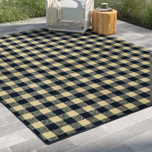 Sand & Stable Sunrise Gingham Rug & Reviews | Wayfair