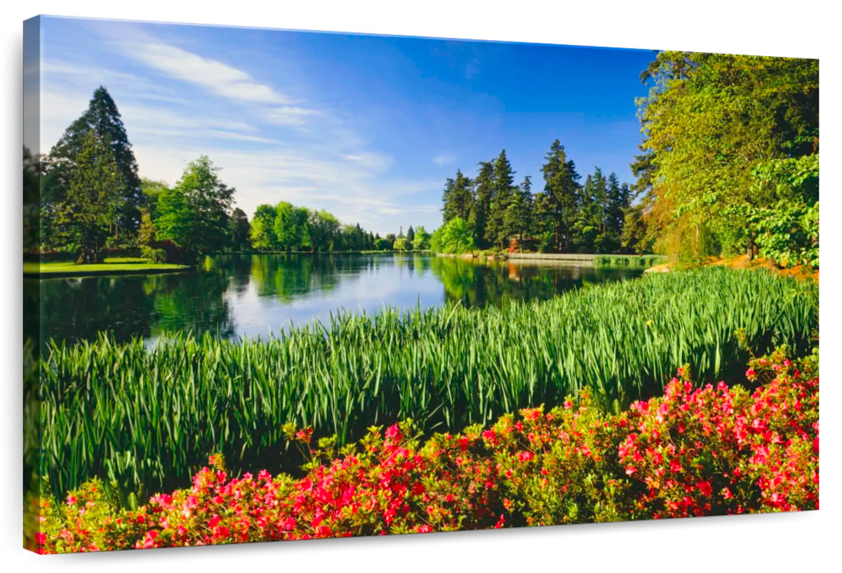 Millwood Pines Alvord Silver Falls Flower Field | Wayfair