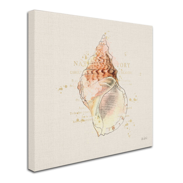 Highland Dunes Shell Collector III On Canvas by Katie Pertiet Print ...