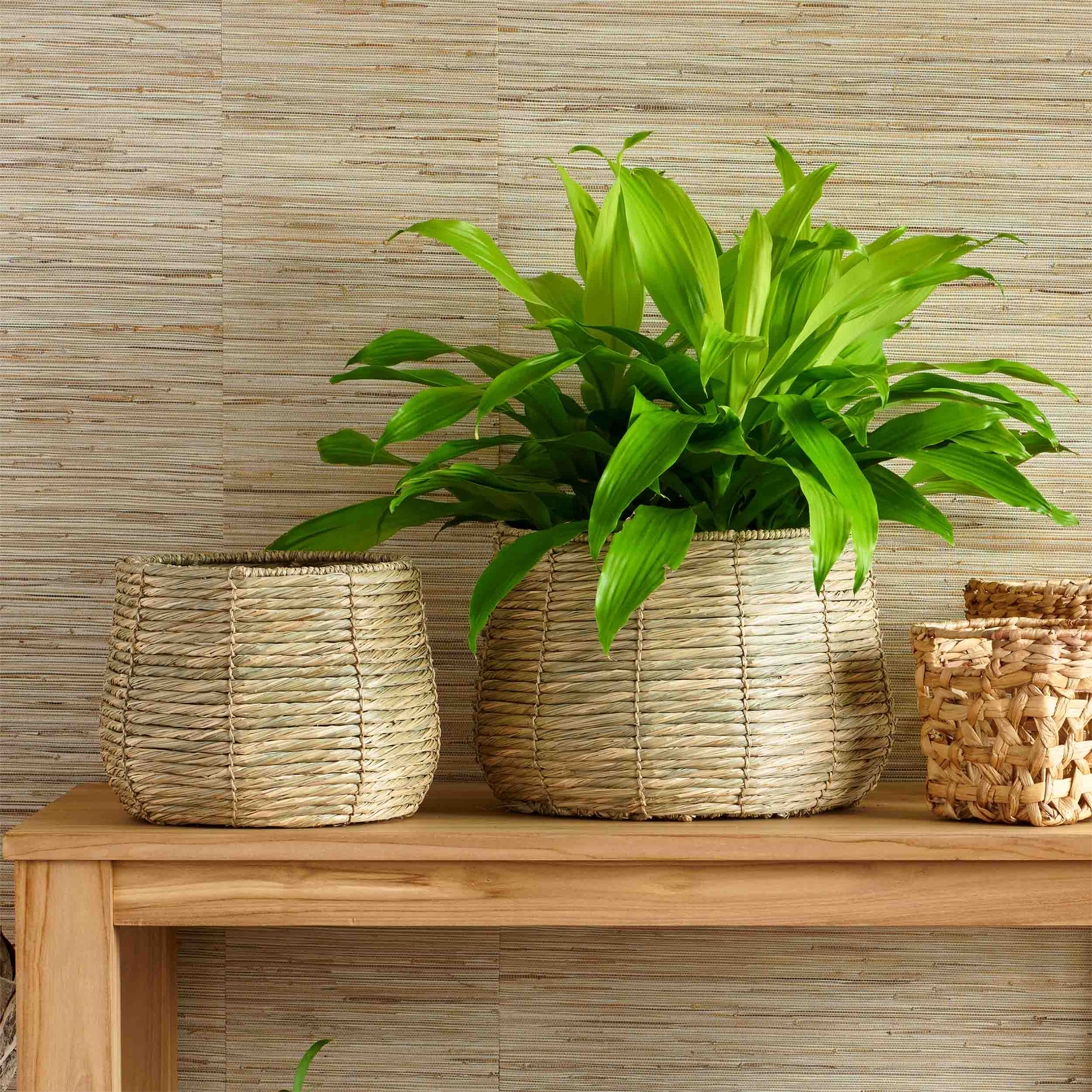 Design Ideas 3 Piece Wire General Basket Set | Wayfair