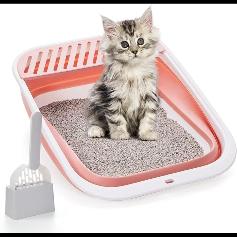 Tucker Murphy Pet™ Open Top Cat Litter Box, Large Foldable Cat Potty ...