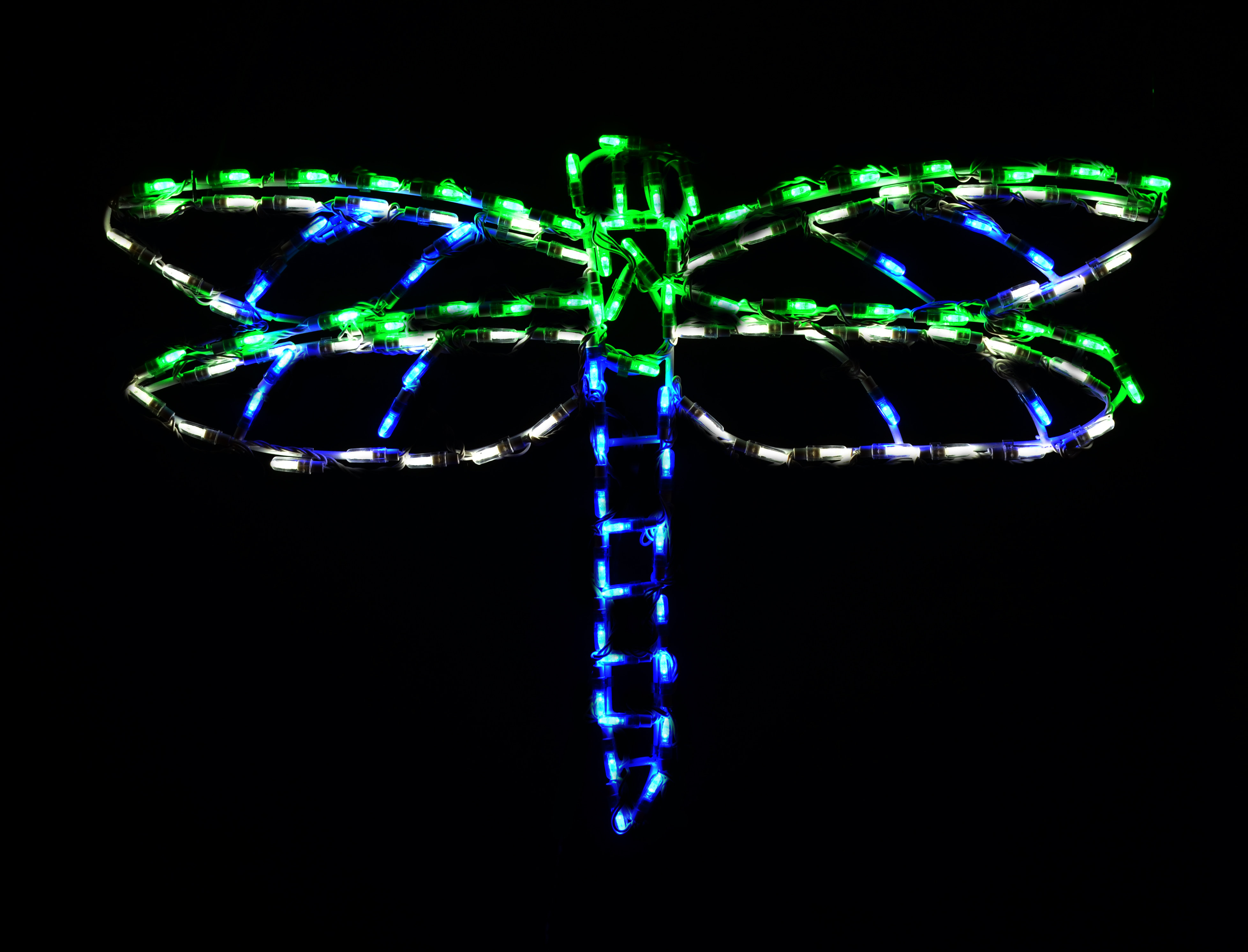 Brite Ideas LED Dragonfly Display Light | Wayfair