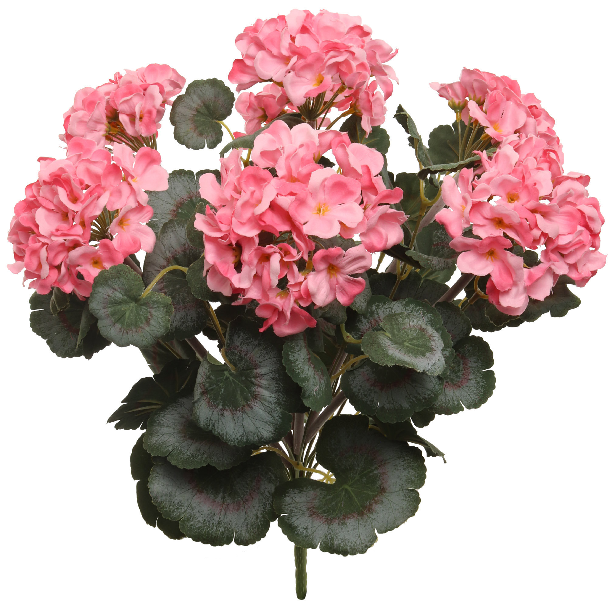 Primrue Geranium Floral Arrangement | Wayfair