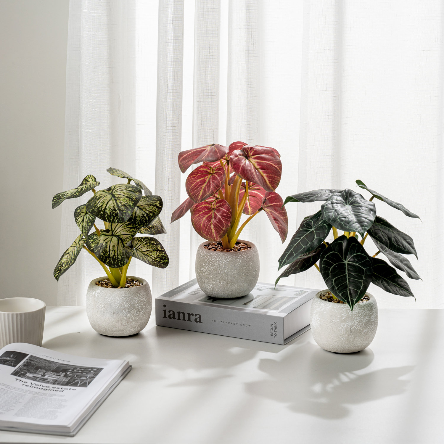 Primrue Artificial Indoor Small Fake Leafy Plants & Reviews - Wayfair ...