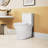 TUOXIN Floor Mounted Elongated Toilet, 1.1/1.6 , Comfort Height ...