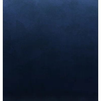 Ink Velvet Sample | Joss & Main