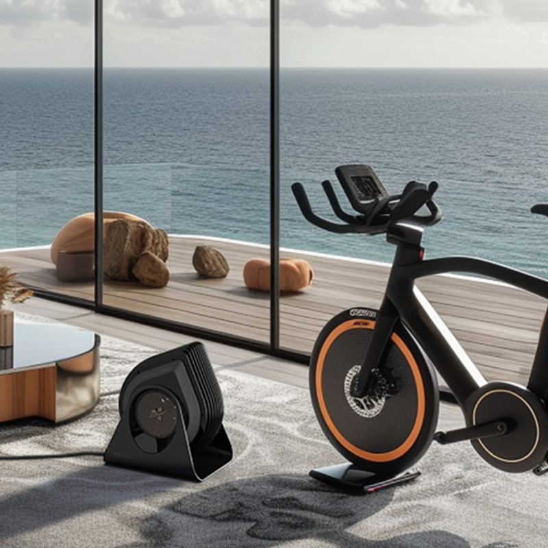 Vornado Fly Max High Velocity Fitness Fan | Wayfair