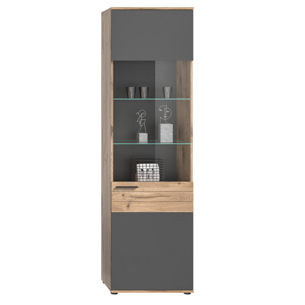 Ebern Designs Hachaliah Display Cabinet | Wayfair.co.uk