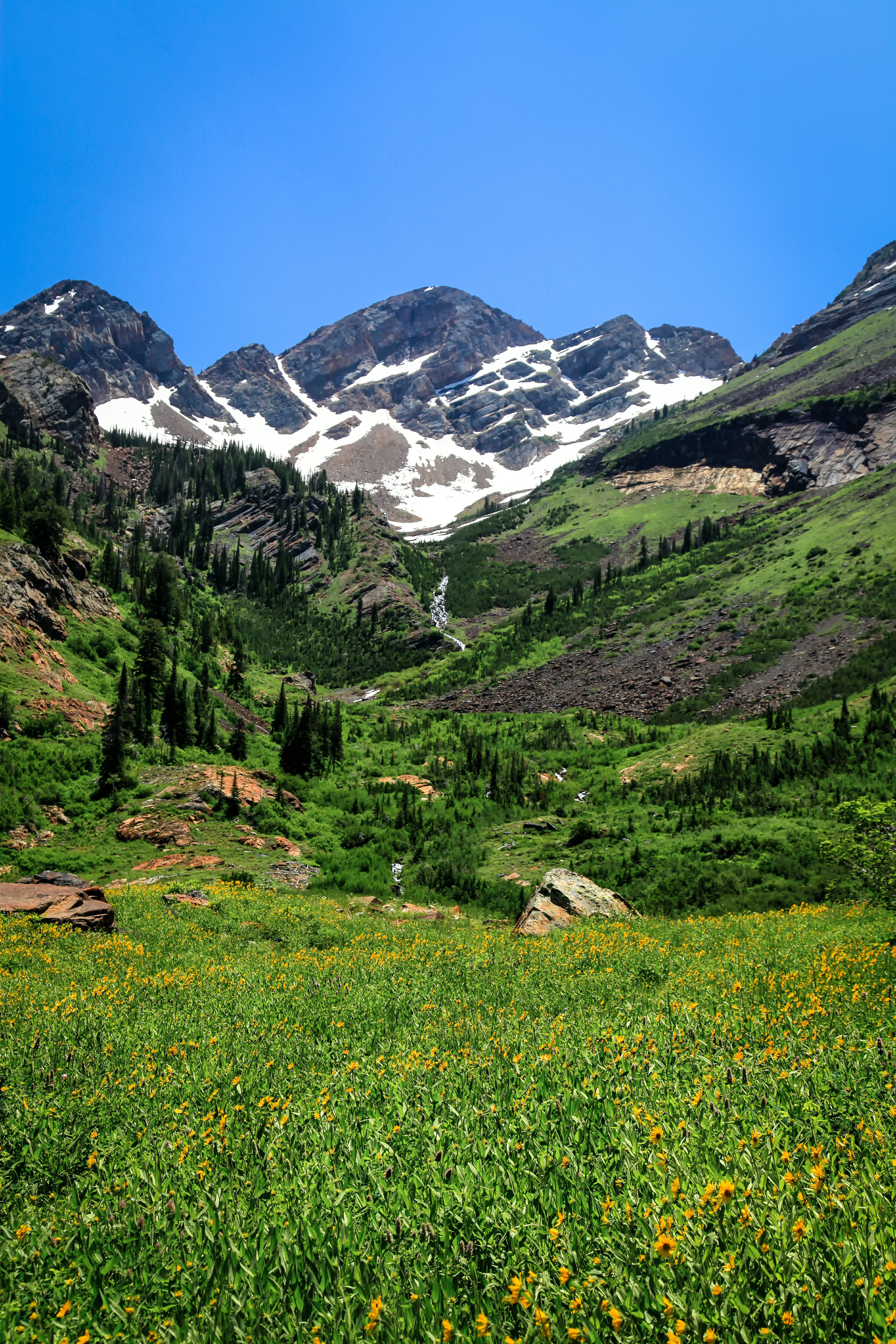 Millwood Pines Wasatch-Cache National Forest by Mjohanson - Wrapped ...