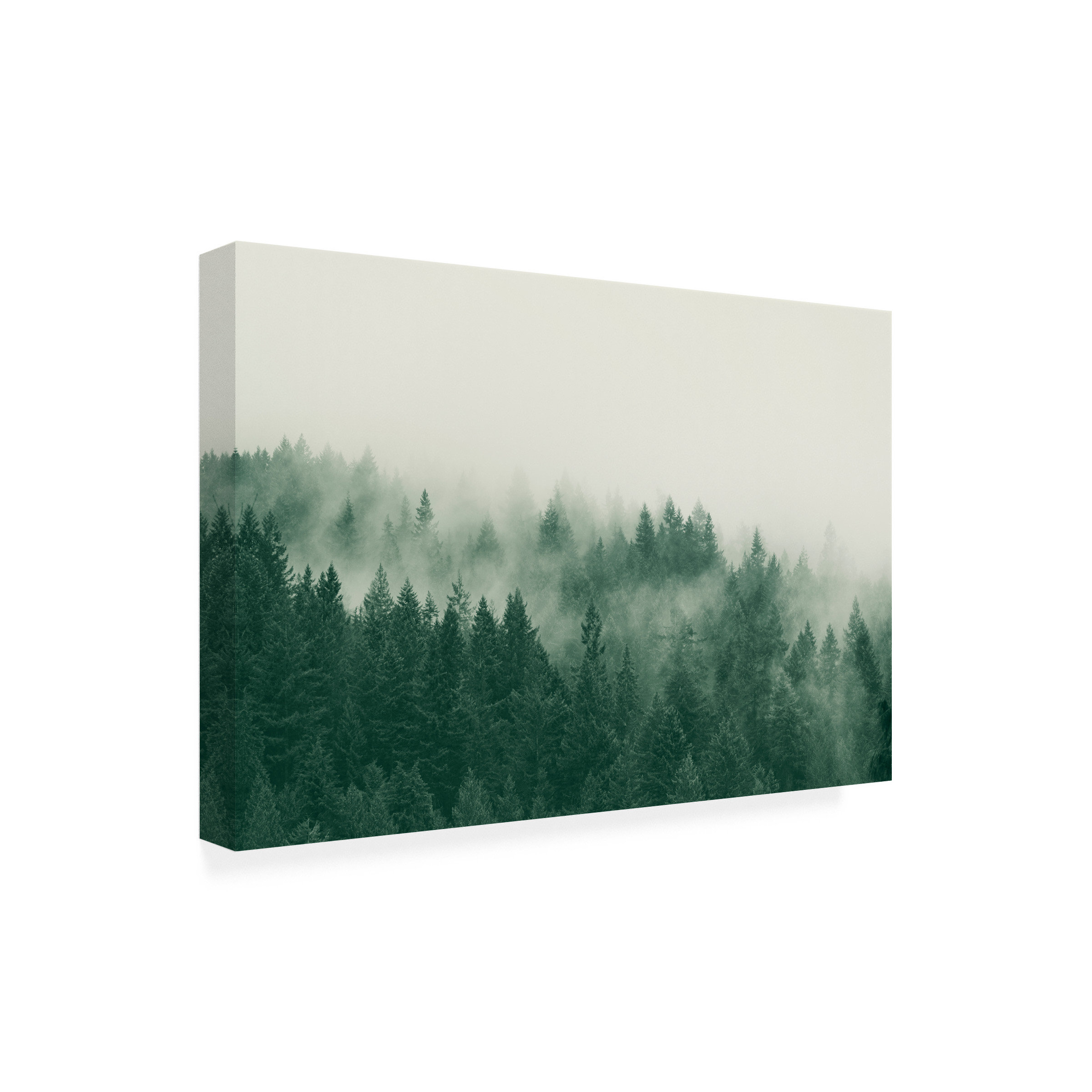 Millwood Pines Lynann Colligan Emerald Forest No. 1 Canvas Art ...