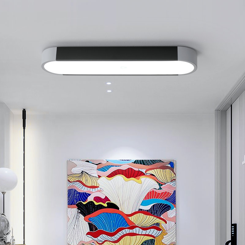 Ivy Bronx Cherron Masek 1 - Light 50cm Simple Rectangle Acrylic LED ...