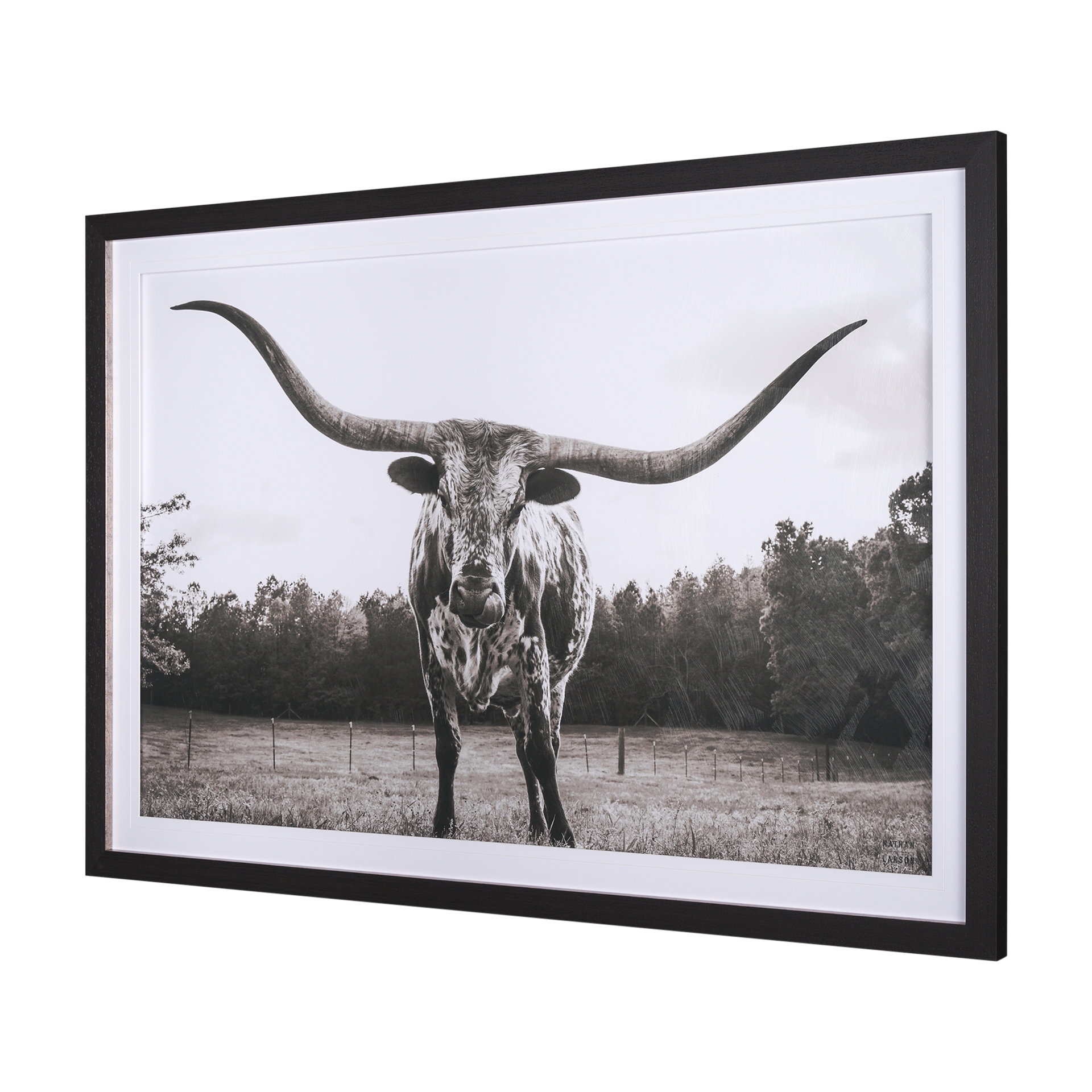 Union Rustic Marjanna Last Call BW By Nathan Larson Hand Embelished ...