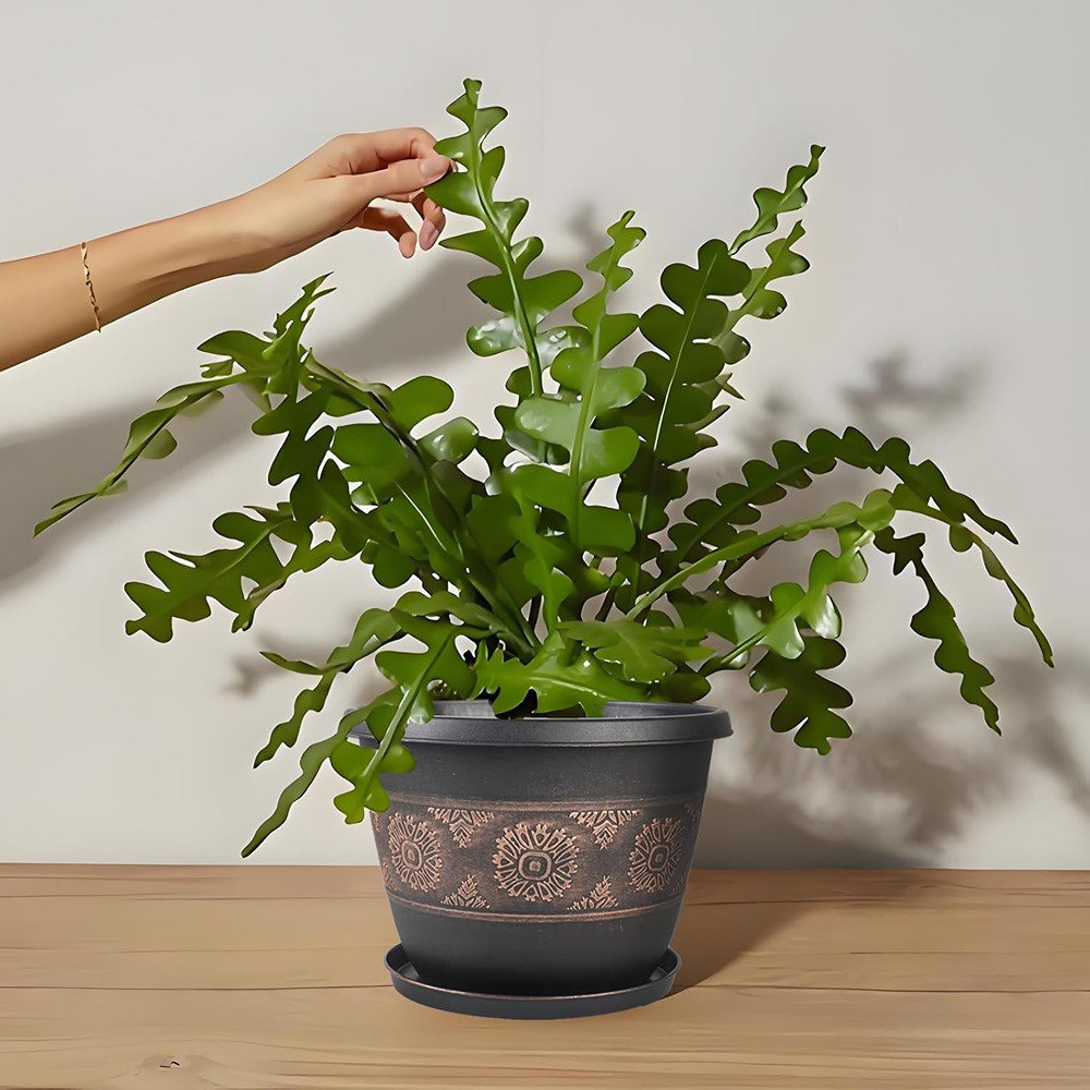 Dakota Fields 4 Pack 10 Inch Plant Pots, Retro Pattern Planters With ...