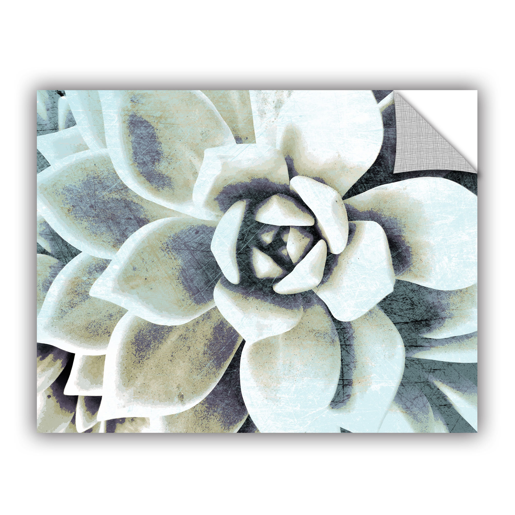 Ebern Designs Blue Succulent Wall Decal - Wayfair Canada