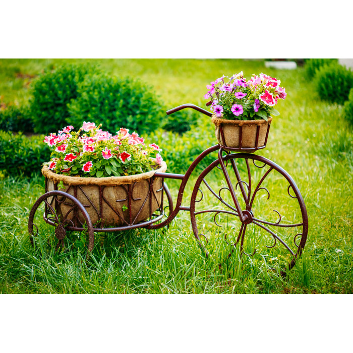 Wade Logan® " Decorative Vintage Model Old Bicycle Equipped Basket ...