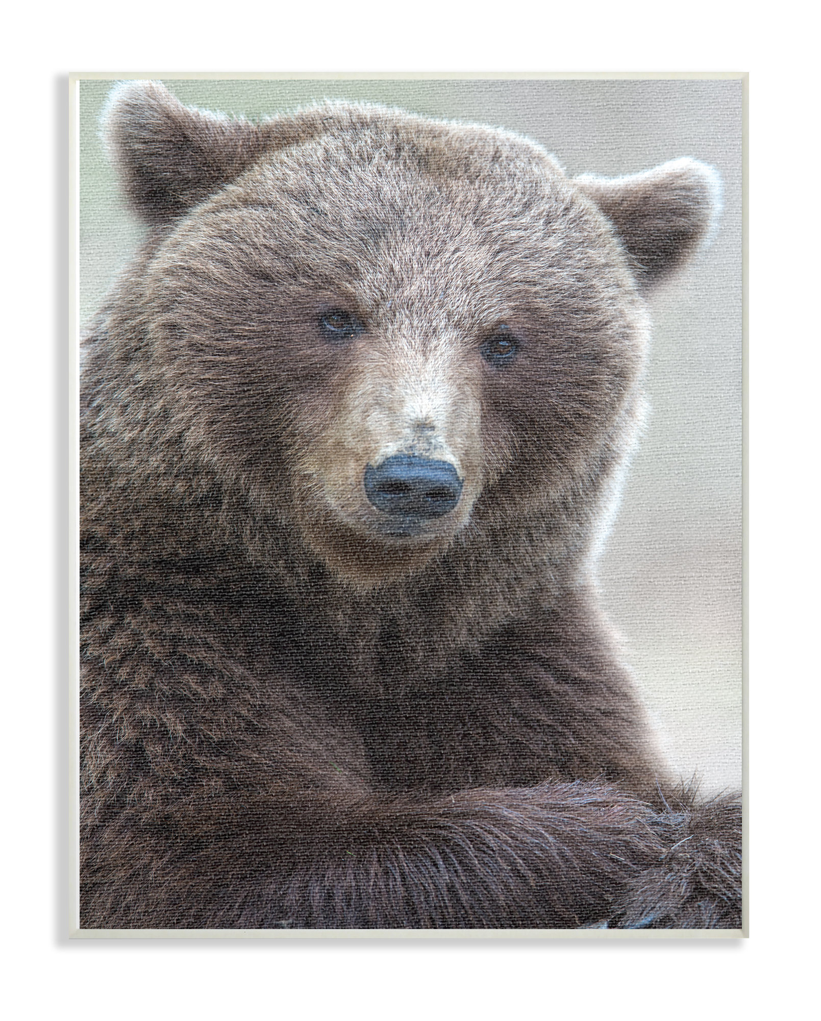 Foundry Select 'Most Interesting Bear' Photographic Print | Wayfair