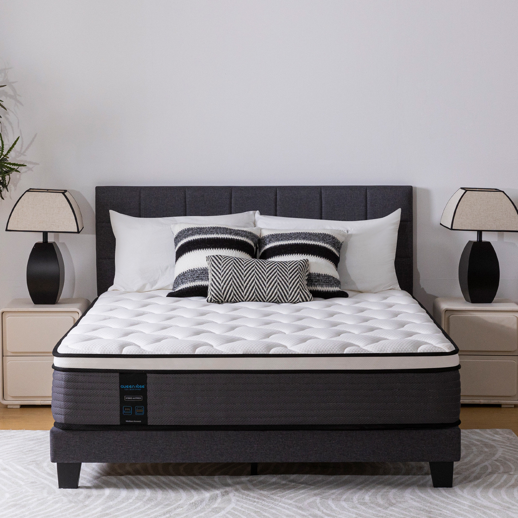 Alwyn Home 10'' Medium Hybrid Last Foam Mattress in a Box Gwendolyn ...