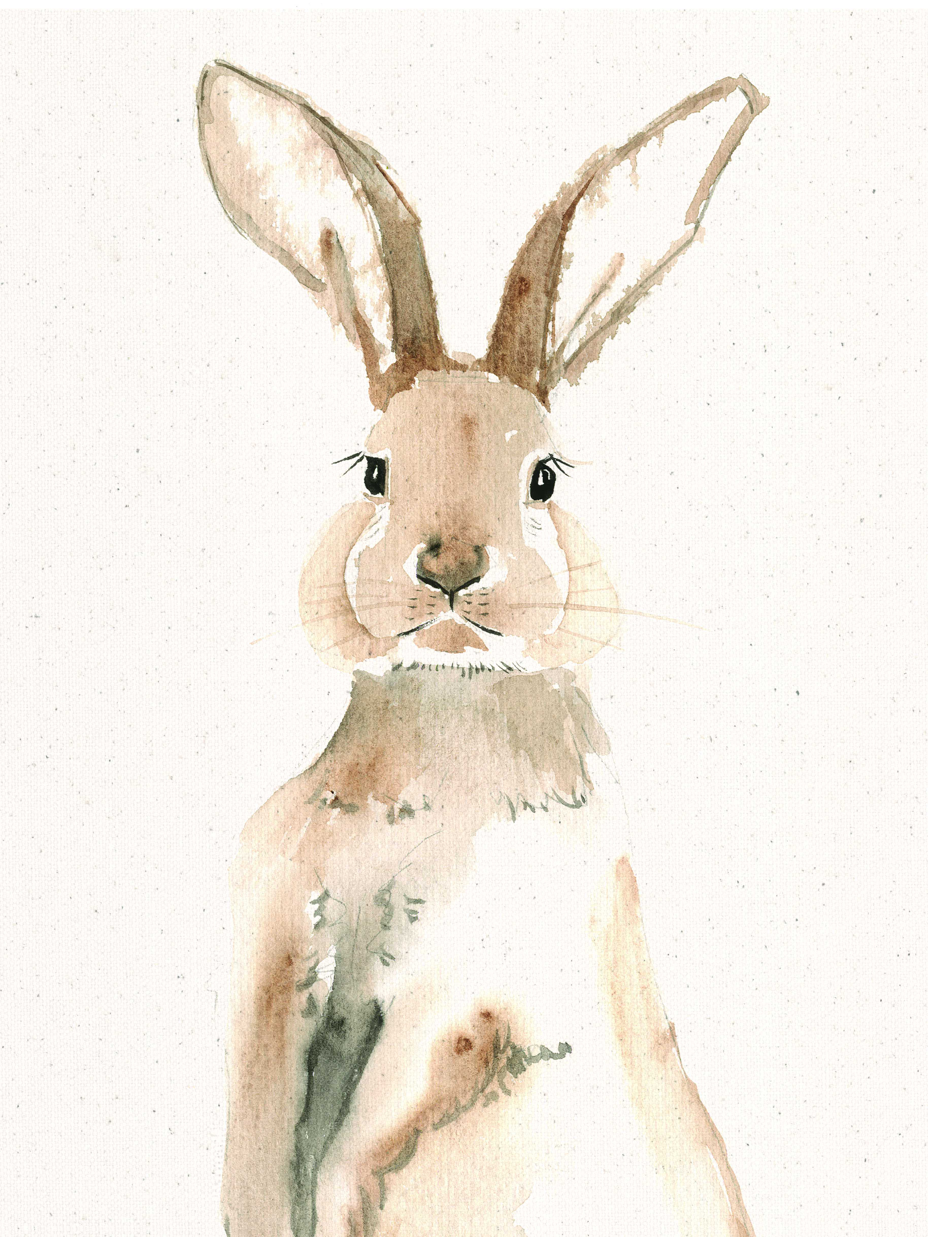 August Grove® Proud Rabbit On Canvas Print | Wayfair