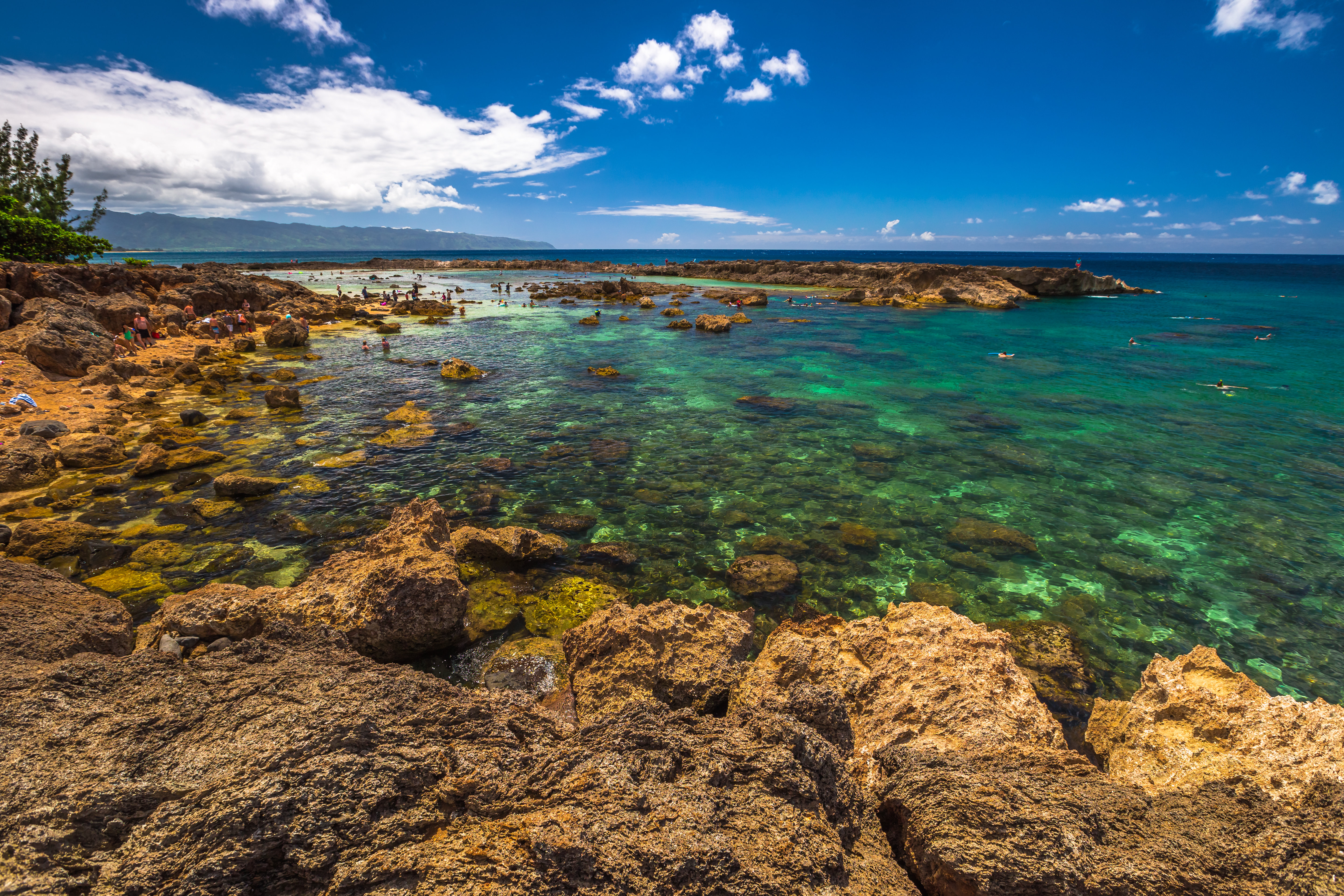 House of Hampton Pupukea Sharks Cove, Hawaii | Wayfair.co.uk