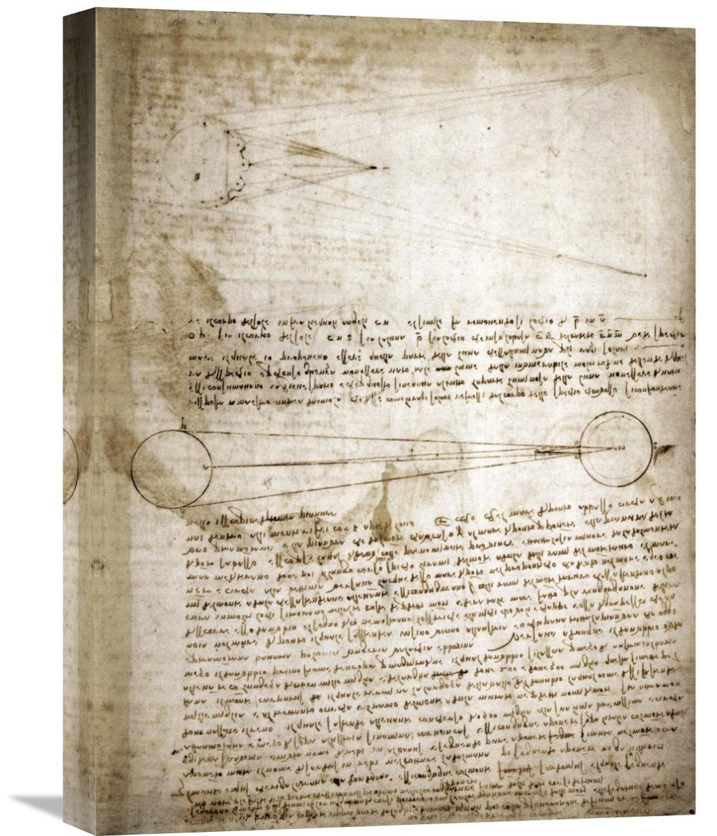 Vault W Artwork 'Codex Leicester: The Changing Earth' by Leonardo Da ...