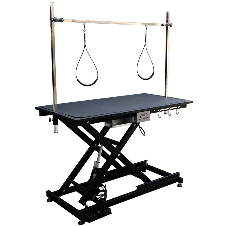 ling Super Deluxe Electric Grooming Table - Wayfair Canada