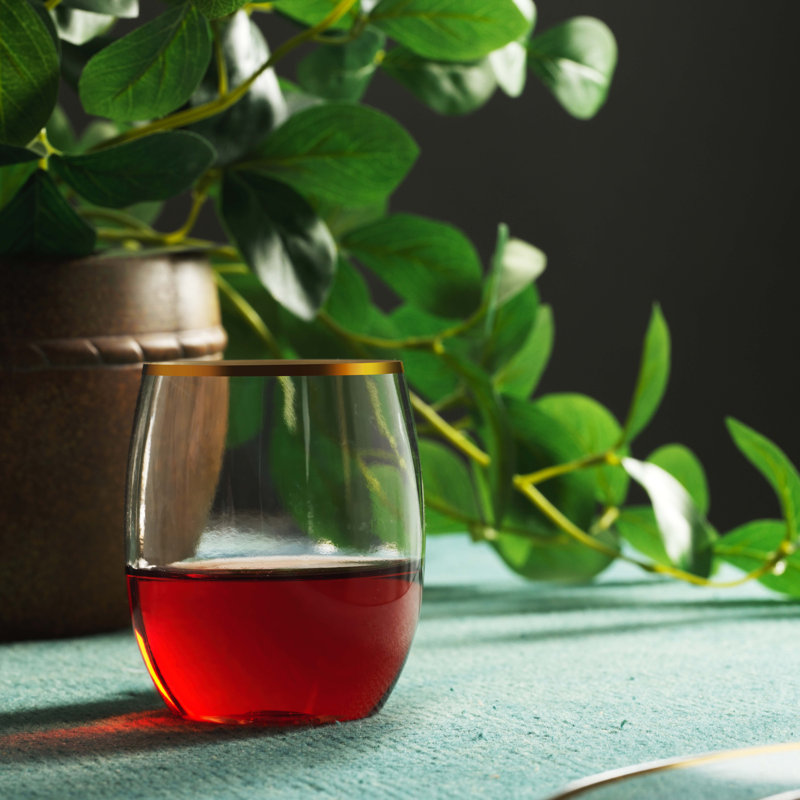 Seseno Gold Rimmed Disposable Plastic Stemless Wine Glass for 24 Guests ...