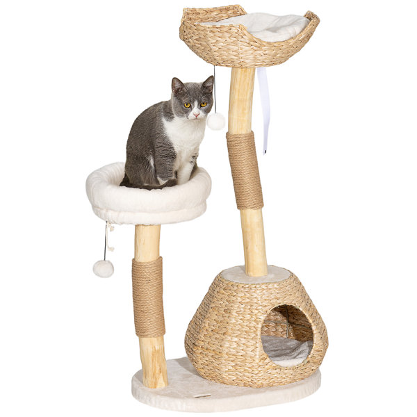 Archie & Oscar™ Cat Tree for Indoor Cats, 41" Wooden Cat Tower with 2 ...