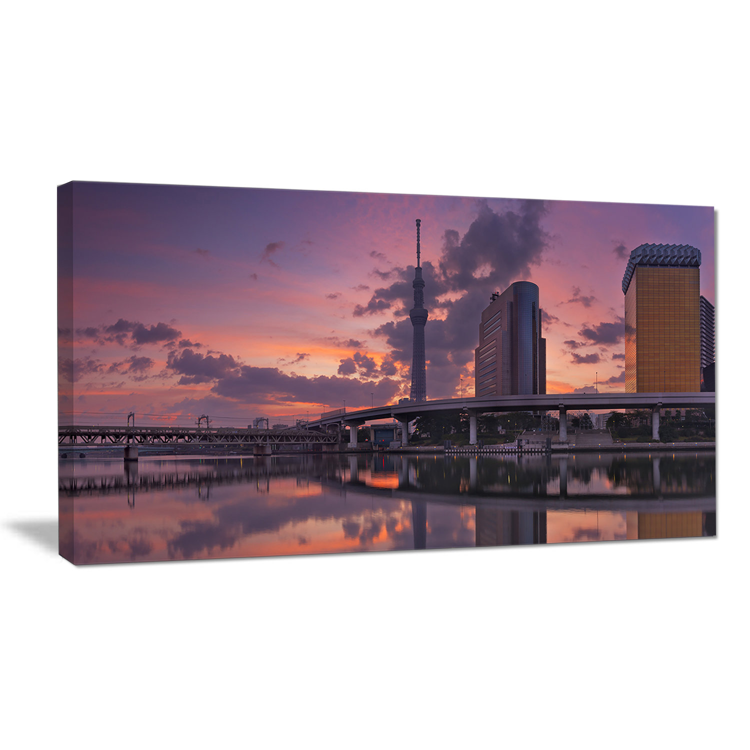 Design Art 'Tokyo Sky Tree and Sumida River' Photographic Print on ...