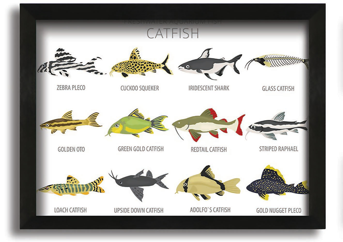 Highland Dunes Catfish Chart | Wayfair.co.uk