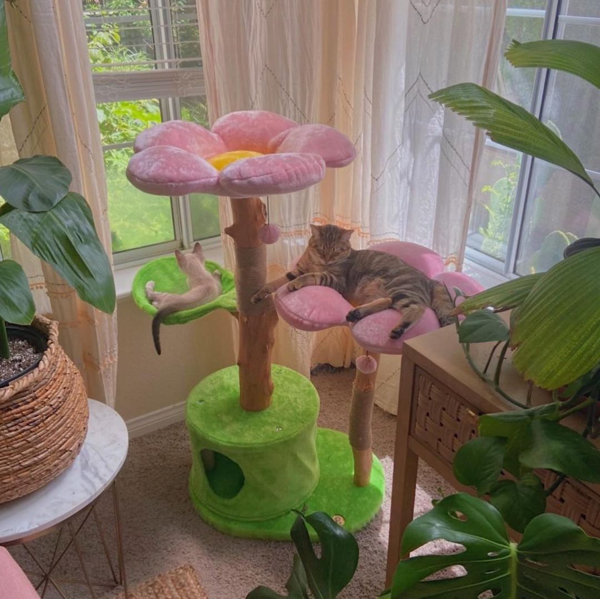 Tucker Murphy Pet™ 43" Venturi Flower Cat Tree & Reviews | Wayfair