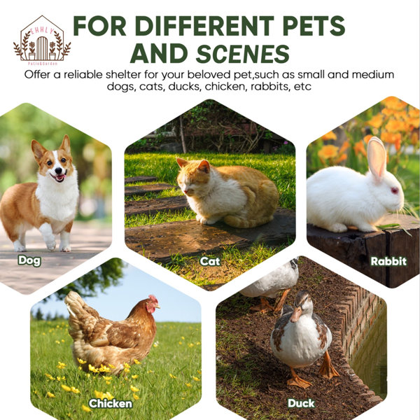 Archie & Oscar™ Outdoor Cat House for Winter Waterproof, Outside ...