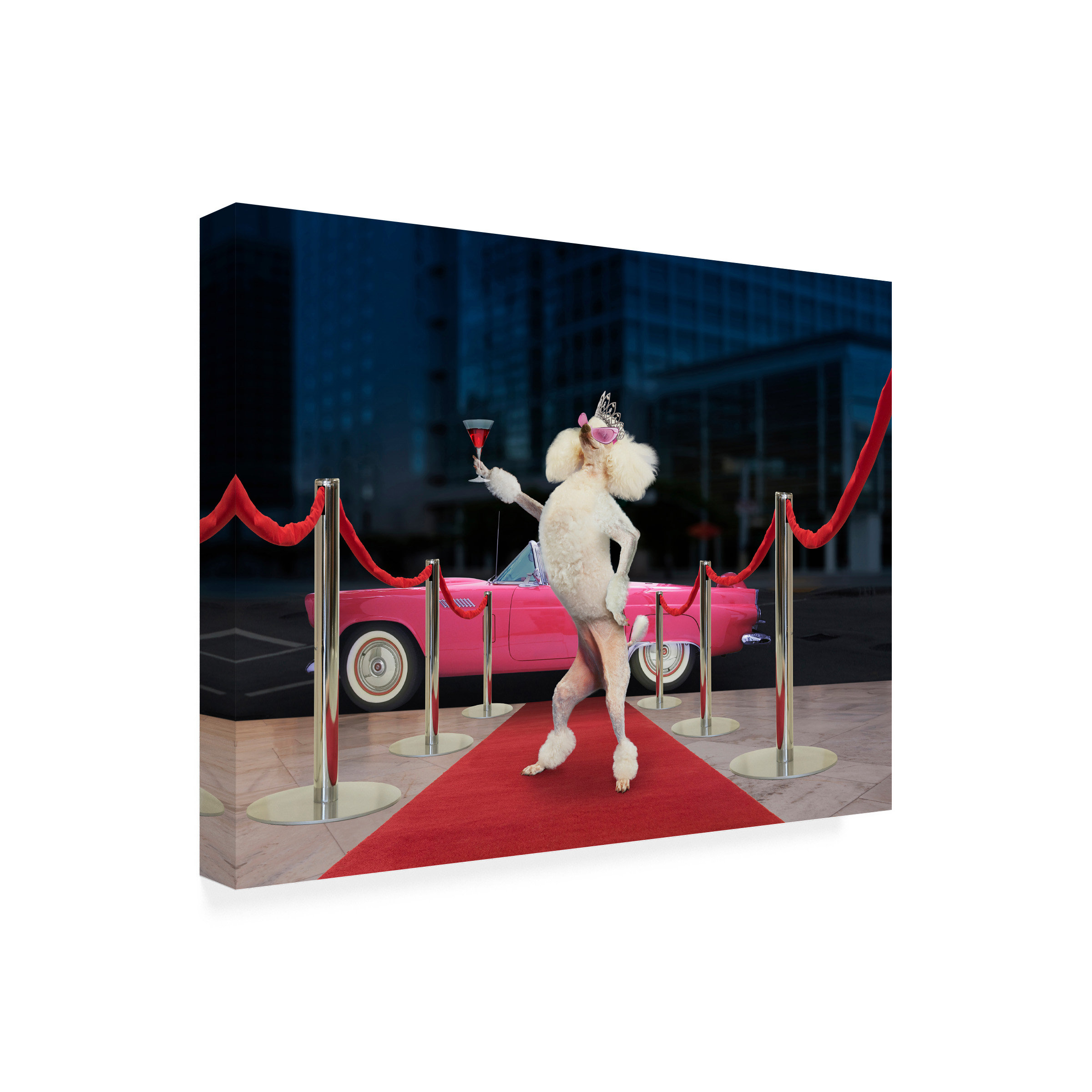 Trinx Garrod Poodle Premier On Canvas by Lund Roeser Graphic Art | Wayfair